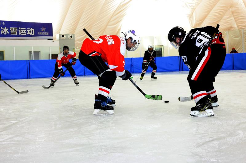Top 3 Most Popular Ice Sports Played in Air Domes - METASPACE